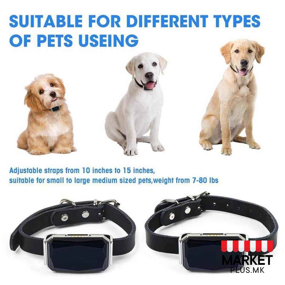 GPS traker za kuce loven zagar i domasno kuce ili mace | marketplus.mk