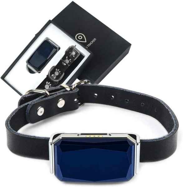 GPS traker za kuce loven zagar i domasno kuce ili mace | marketplus.mk