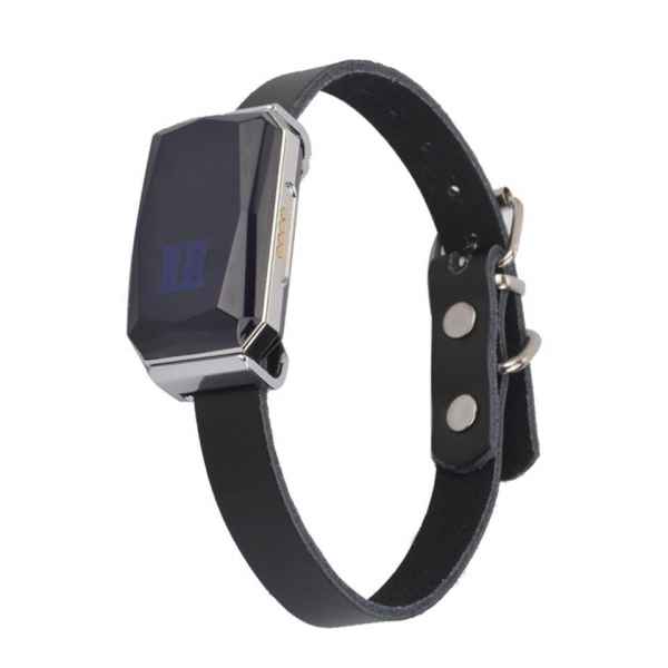 GPS traker za kuce loven zagar i domasno kuce ili mace | marketplus.mk