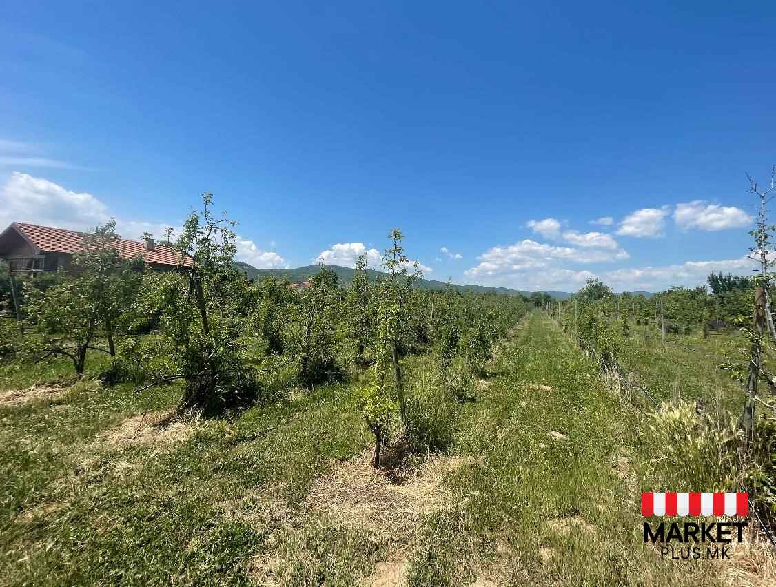 ЧОЈС-Kuka i niva so ovosen nasad-Crnogorci | marketplus.mk